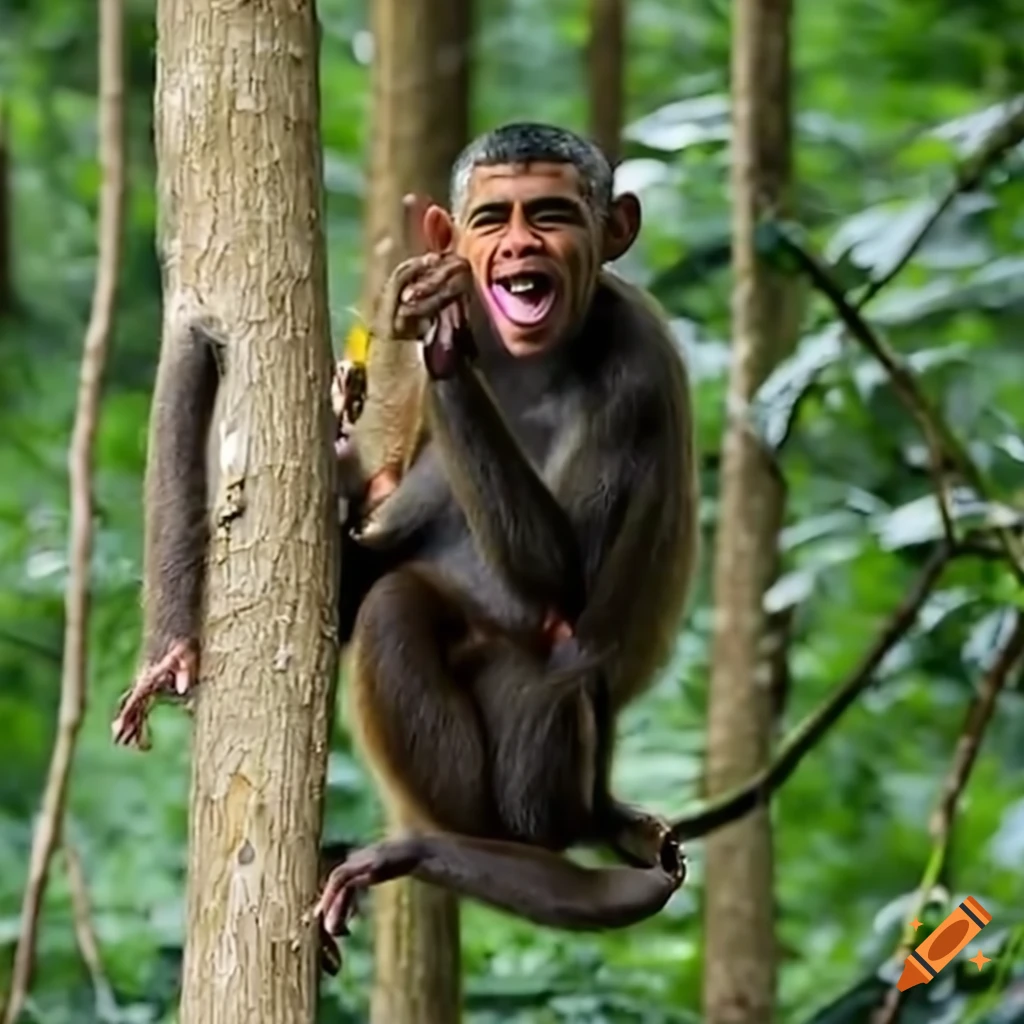 Former u.s. president barack obama playfully climbing trees in a lush ...