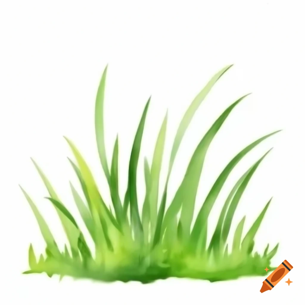 Cartoon grass illustration on white background, watercolor style on Craiyon