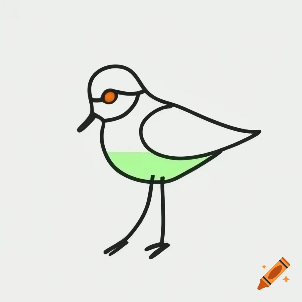 Minimalist black line drawing of plover bird with orange and green ...