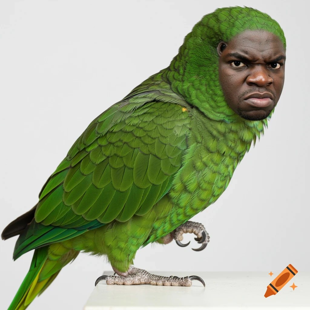 A green parrot with the angry face of a man. on Craiyon