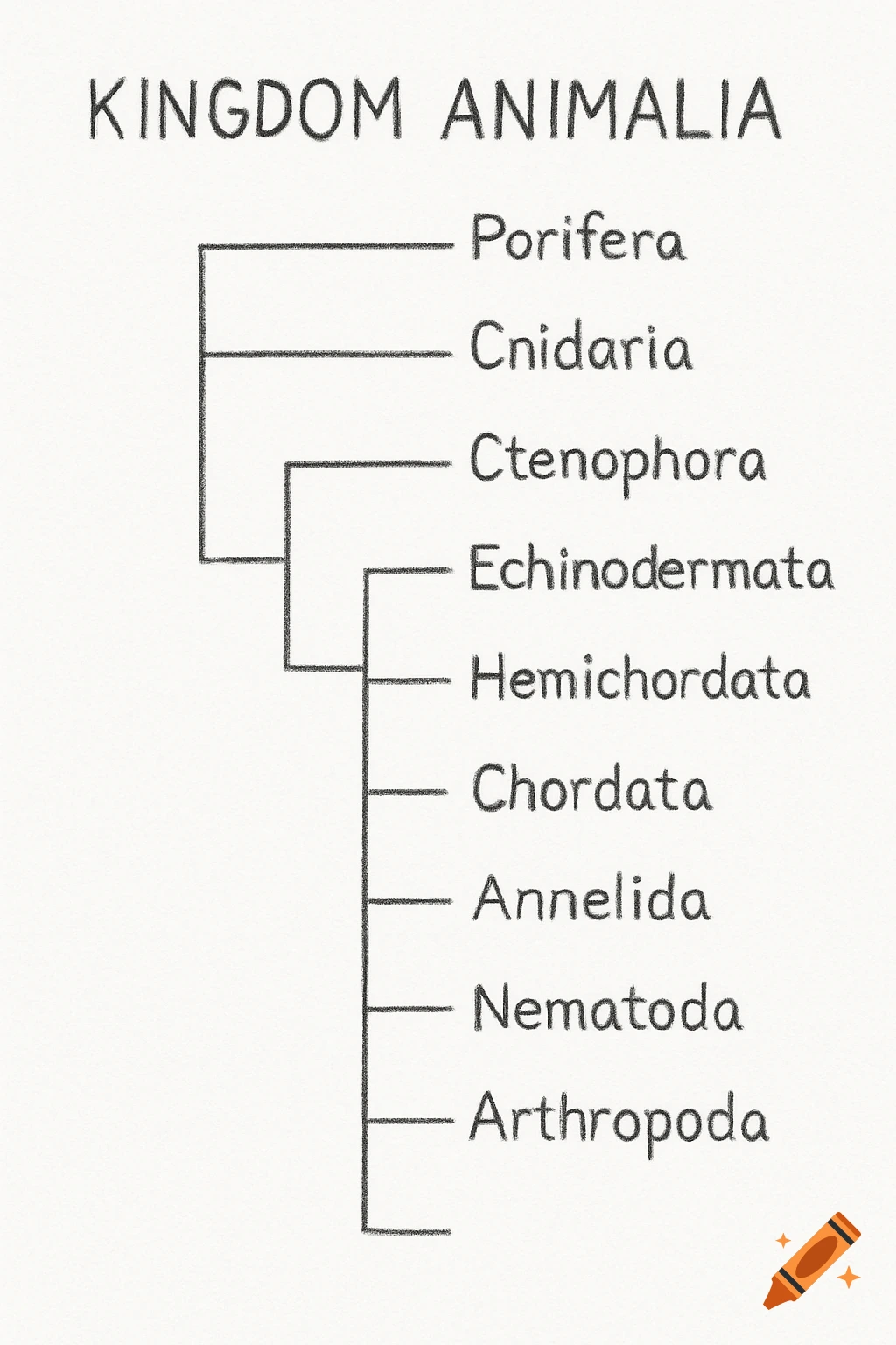 Sketch of a phylogenetic tree showing the classification of Kingdom Animalia on Craiyon