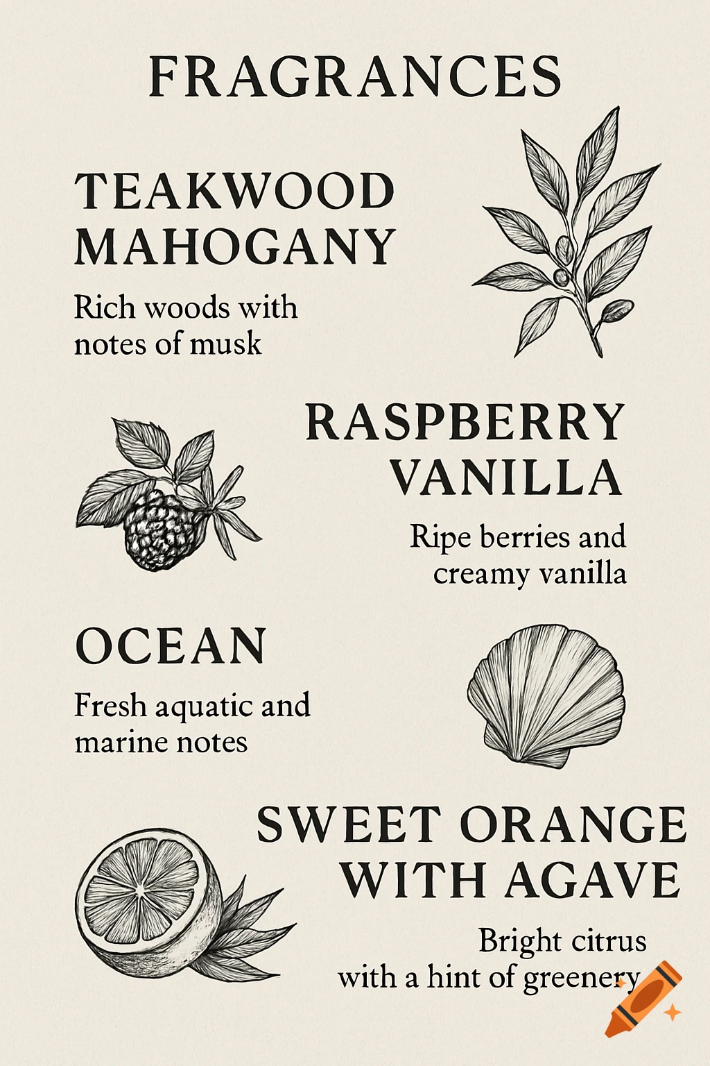 Stylish menu listing fragrances with illustrations of ingredients and ...