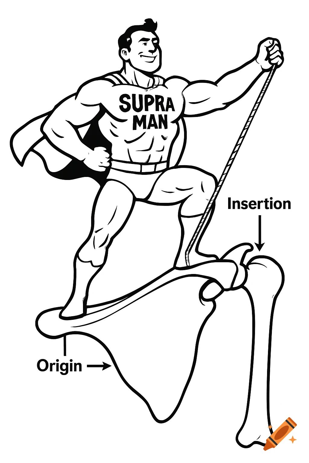 Anatomy images created on Craiyon