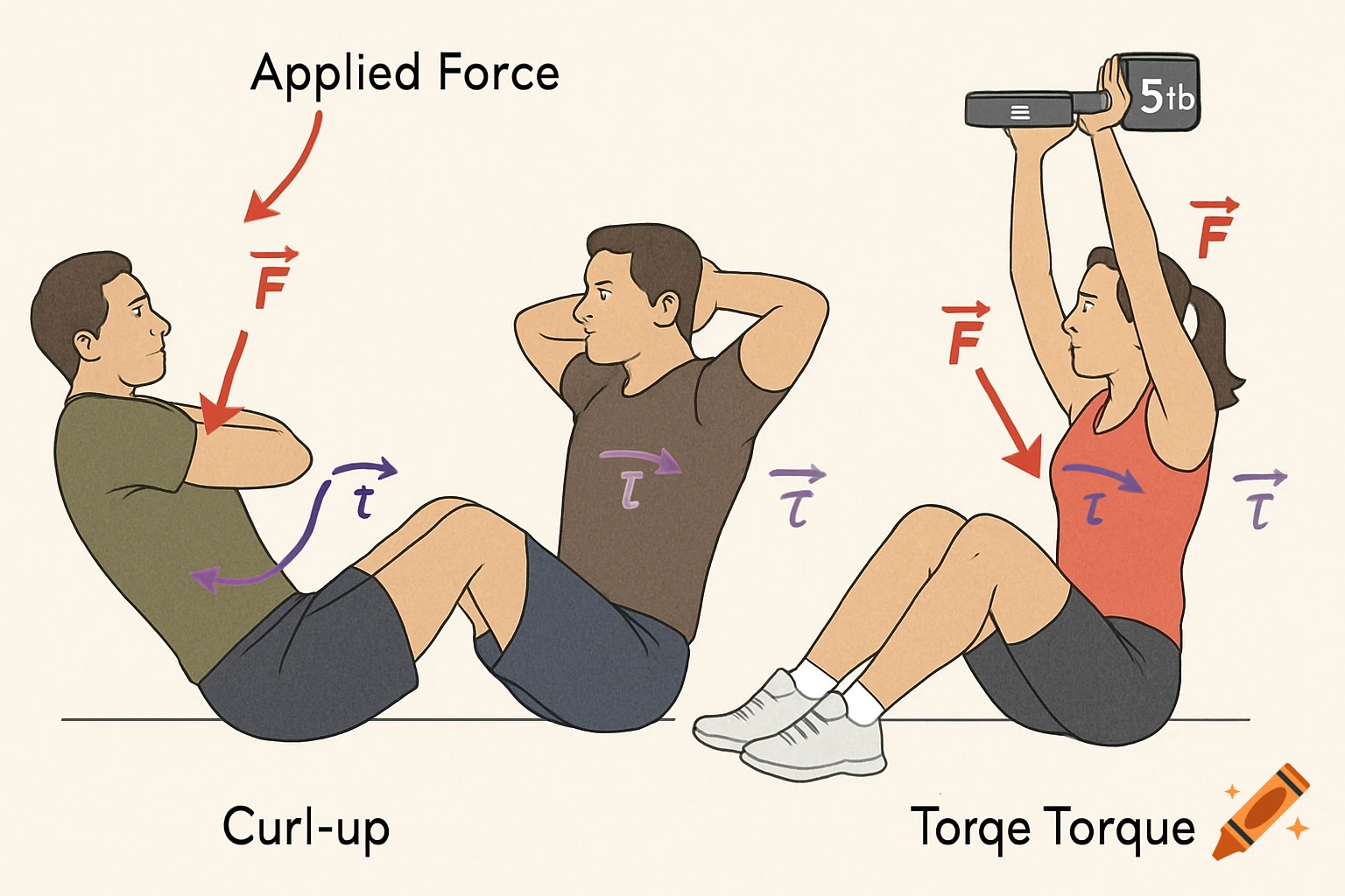 Diagram illustrating applied force and torque during curl-up and overhead exercise. on Craiyon