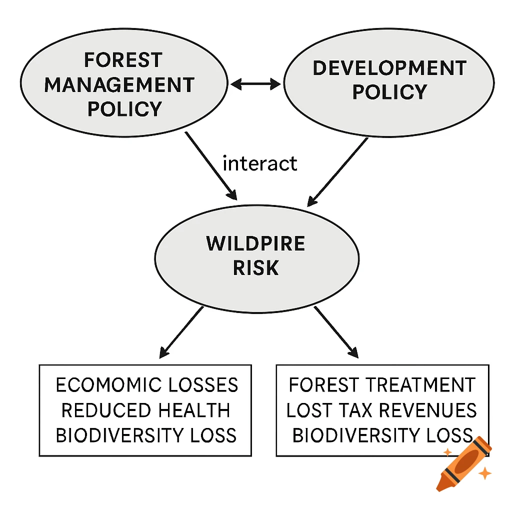 Diagram showing how forest and development policies interact to ...