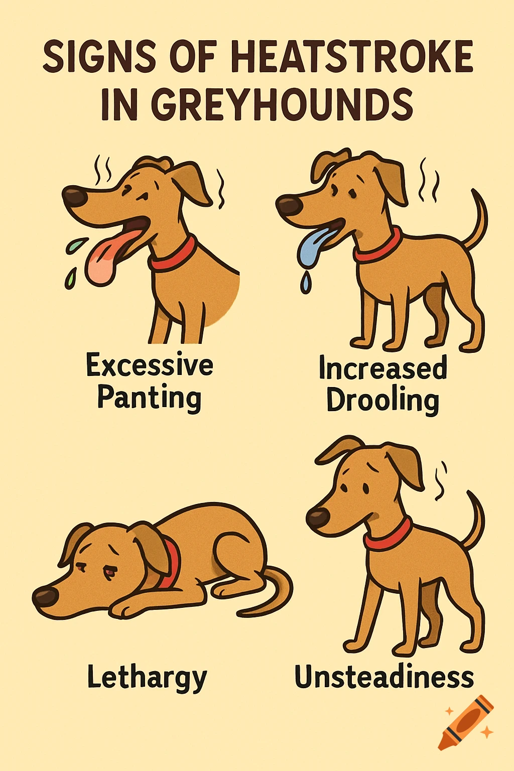 Cartoon infographic showing four greyhounds illustrating signs of ...