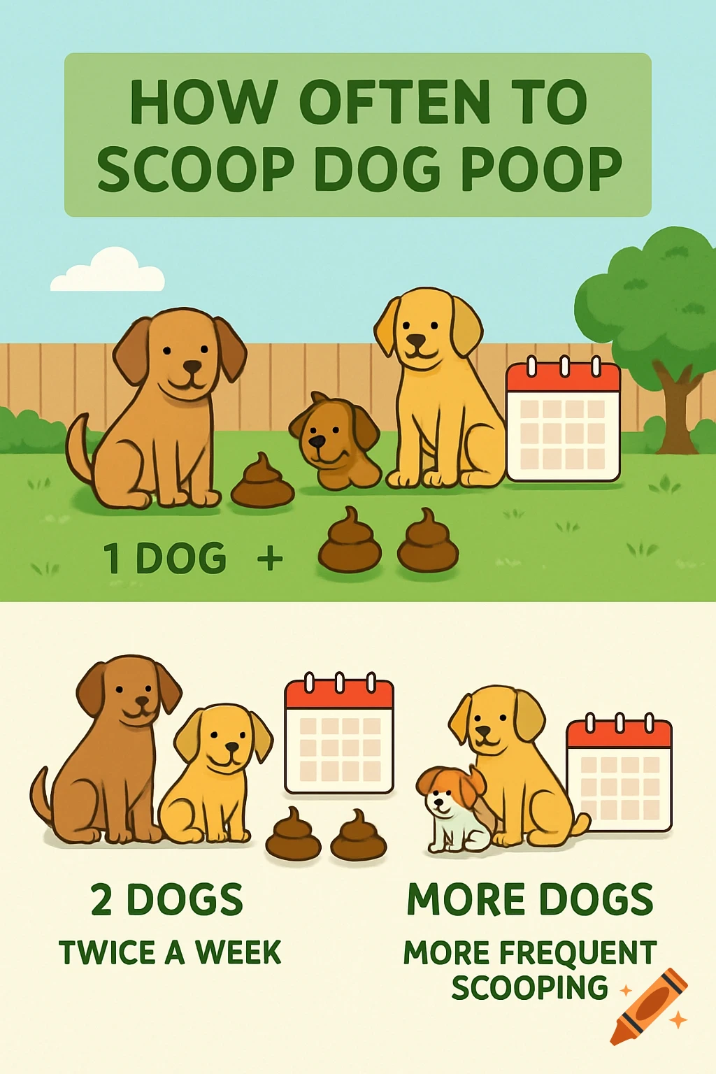 An infographic illustration shows cartoon dogs, dog poop, and calendars ...
