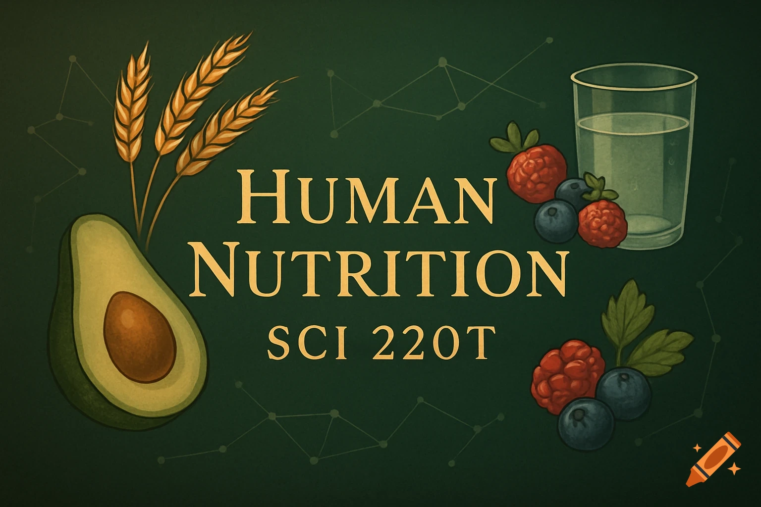 Illustration of an avocado, wheat, berries, and a glass of water with 'Human Nutrition SCI 220T ...